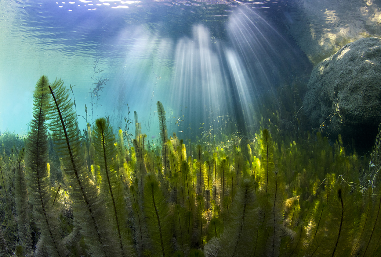 Home - Education Outreach Center